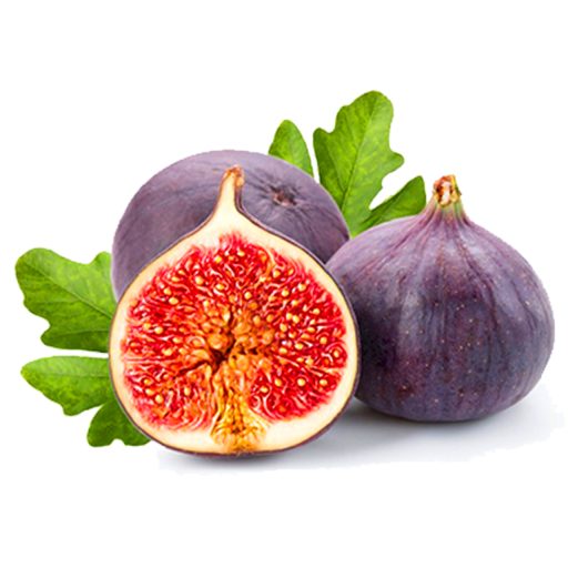 Fig, 'Melanzana calabrese' – Flora Fauna Farm