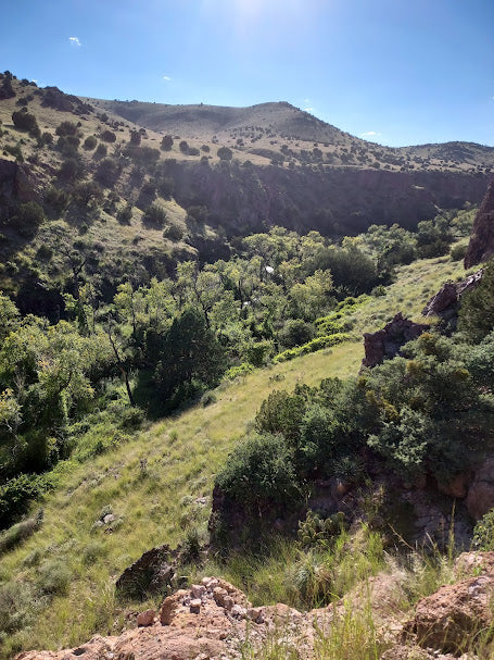 Native and Xeric plants – Flora Fauna Farm